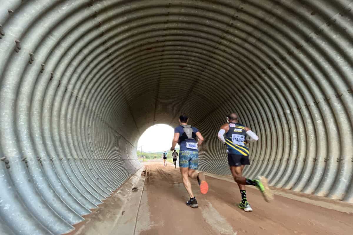 Running with the Big Five — Marakele Marathon is an adventure [PICS ...