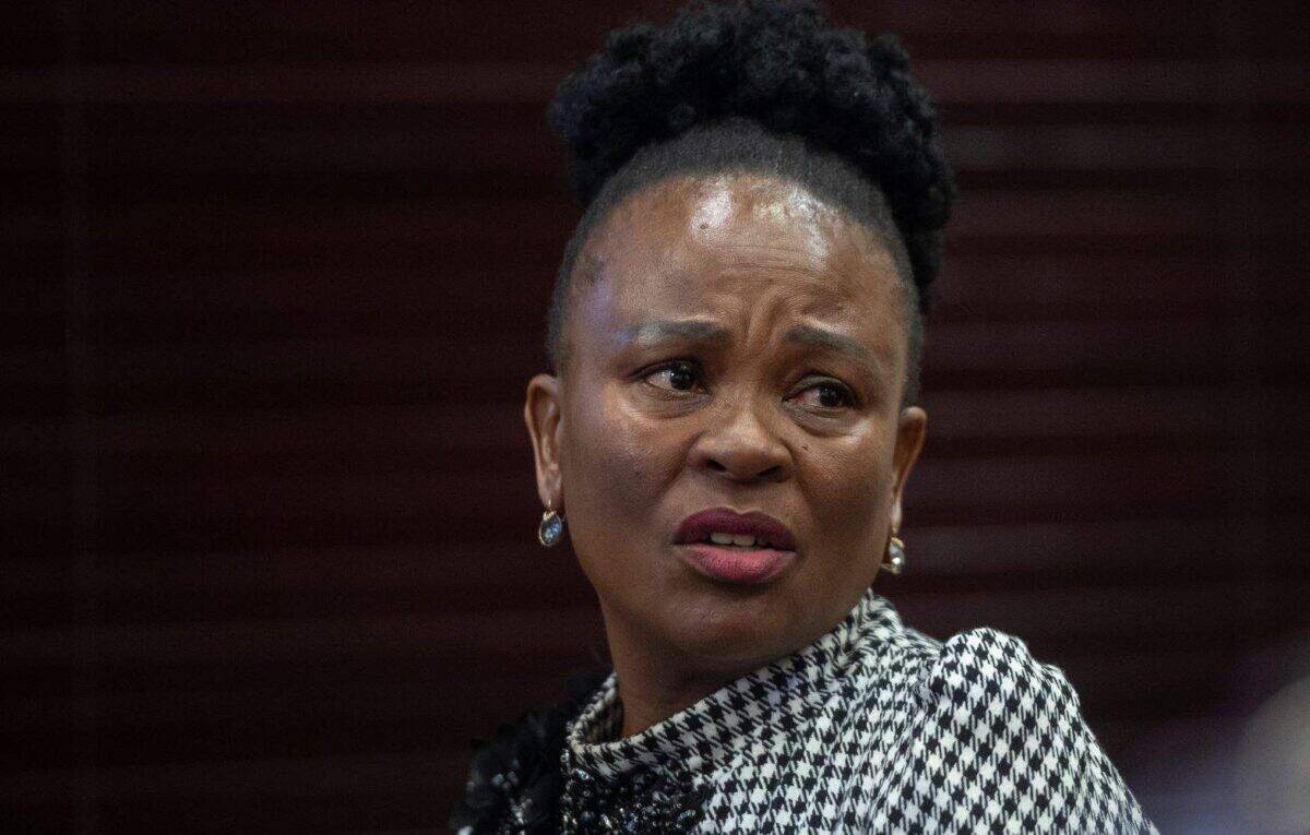 Mkhwebane says move to strike her from roll of advocates is ...