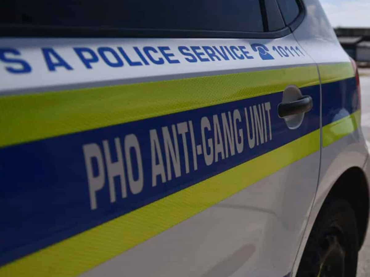 Western Cape’s anti-gang unit makes dent in crime despite detective and ...