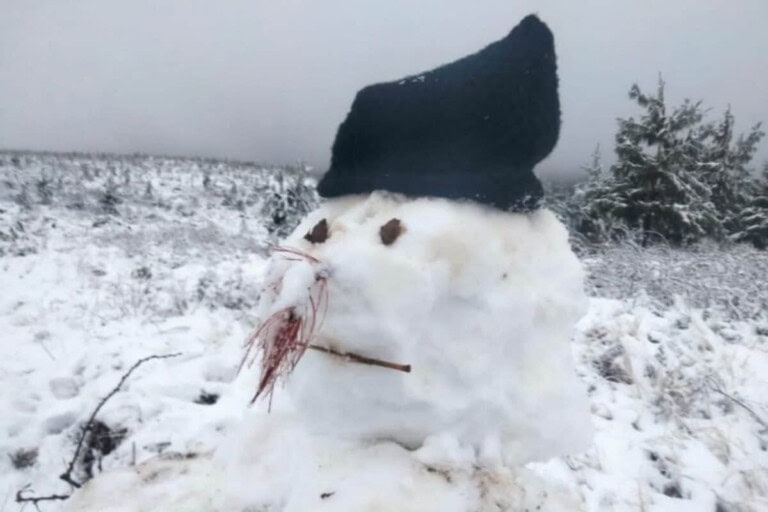 Rainy, snowy and cold long weekend ahead | The Citizen