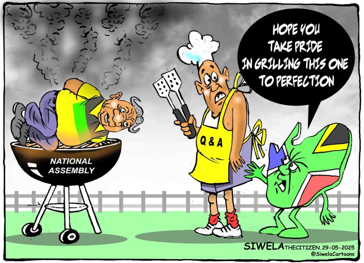 Cartoon of the day: 29 May 2025 | The Citizen