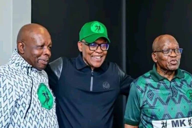 Mzwanele Manyi axed as MK party chief whip in Parliament