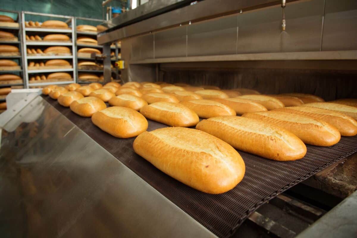 Slice of relief: Bread prices saved from rising in South Africa