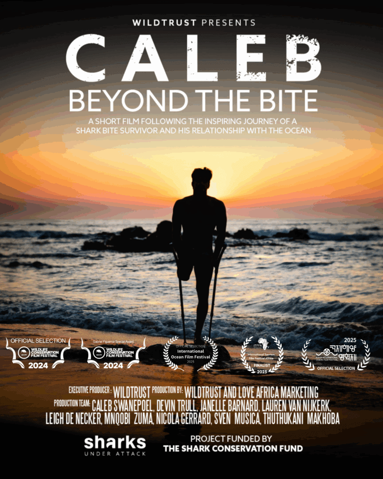 WATCH: SA short film ‘Caleb: Beyond the Bite’ wins gold at film ...