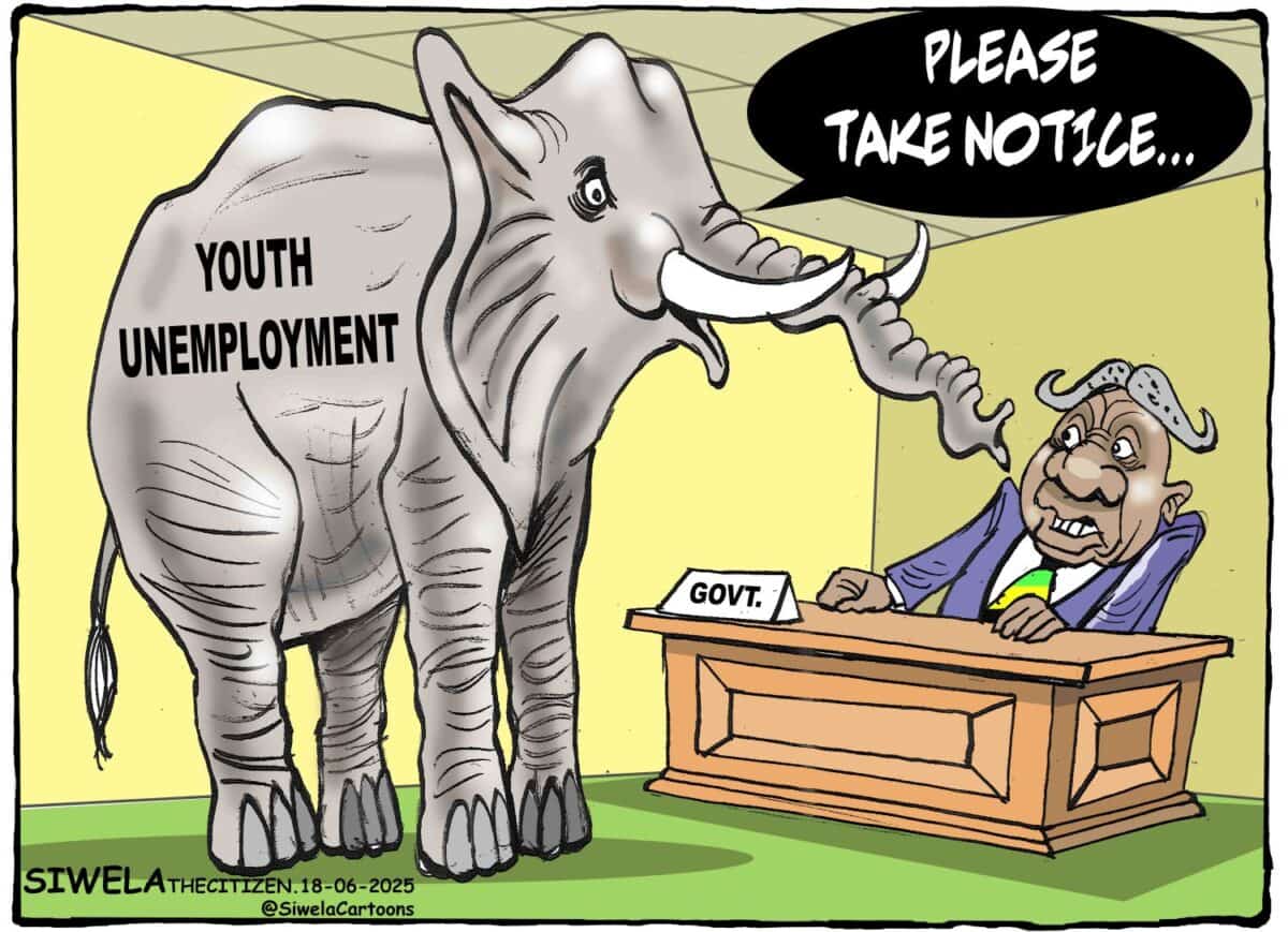 Cartoon of the day: 18 June 2025 | The Citizen