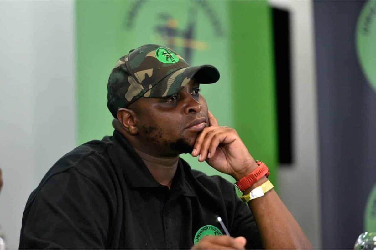 Floyd Shivambu party ‘unlikely to take wings’ | The Citizen