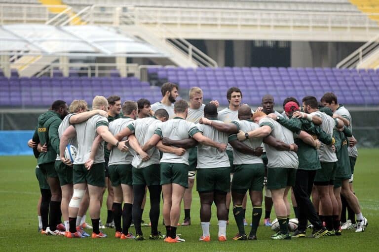 Springboks v Italy: All the stats, facts and figures | The Citizen