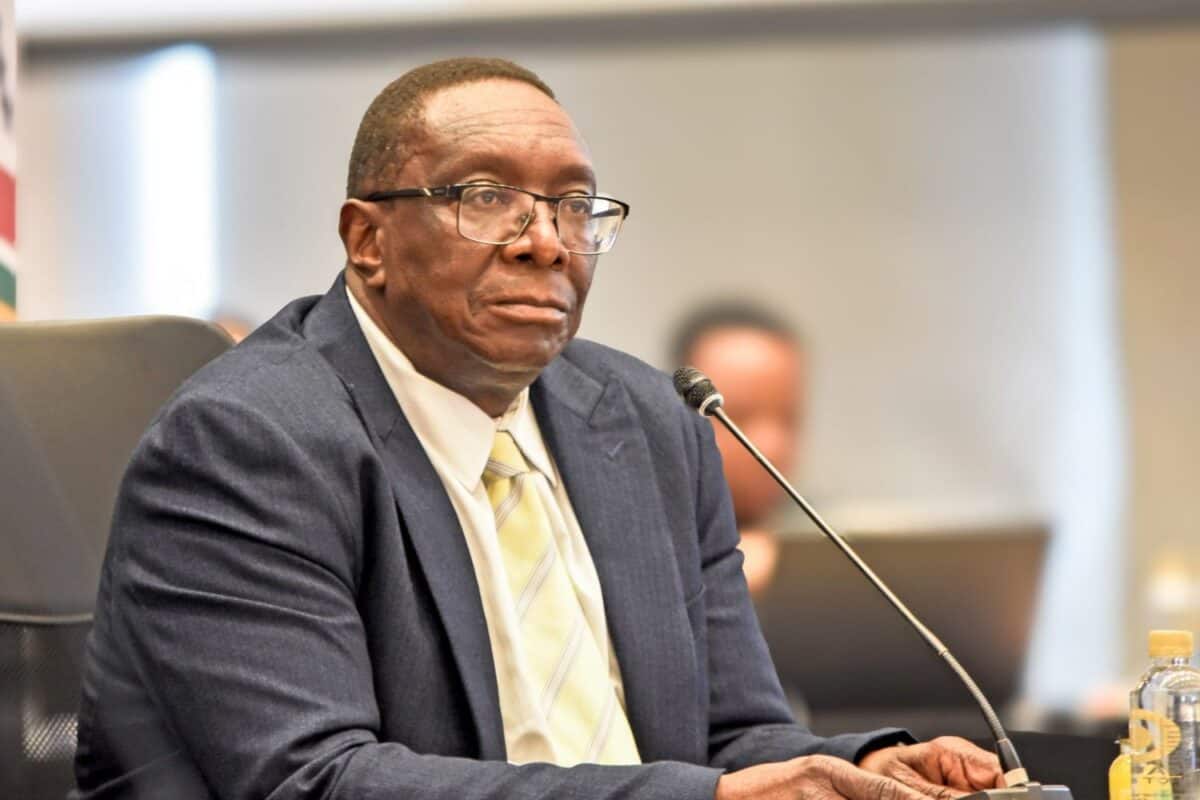 JSC to recommend Gauteng Judge President Mlambo as next deputy chief ...