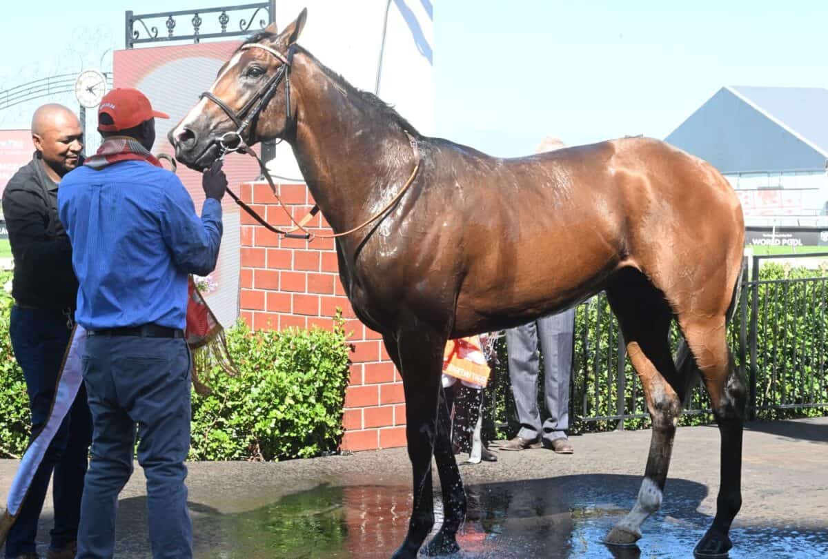 Does Eight On Eighteen have the edge at Durban July? | The Citizen