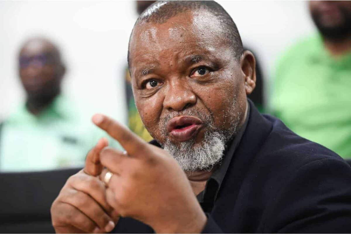 Ramaphosa appoints Gwede Mantashe as acting police minister