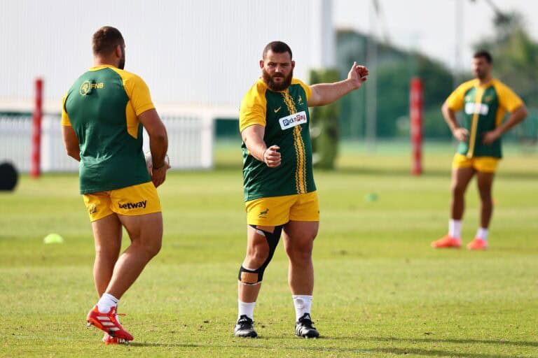 Our top three weekend picks: Wins for the Lions, Boks and PSG? | The ...