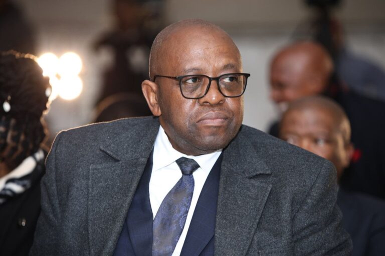 Madlanga inquiry: Mkhwanazi first to be consulted