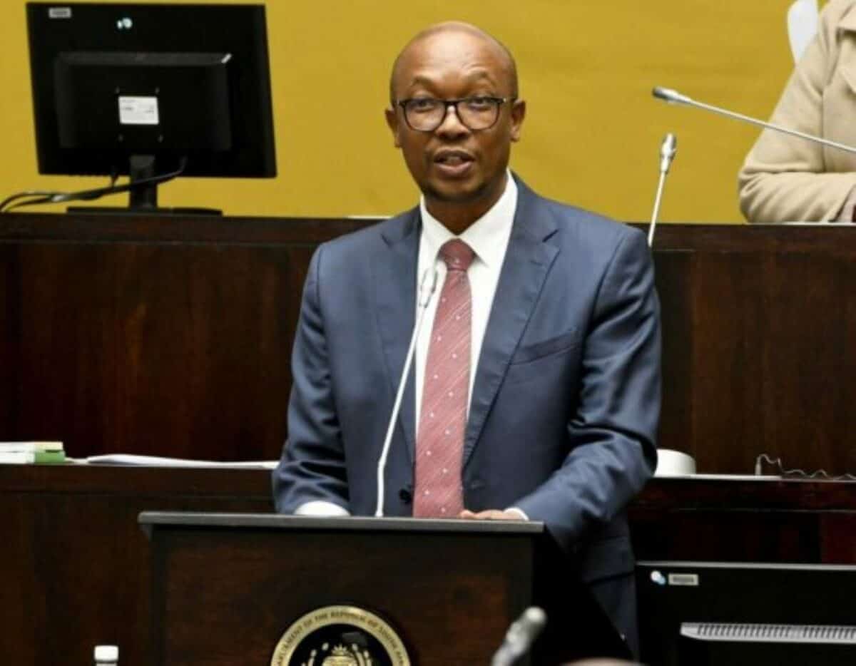 Is the dtic sabotaging its minister?