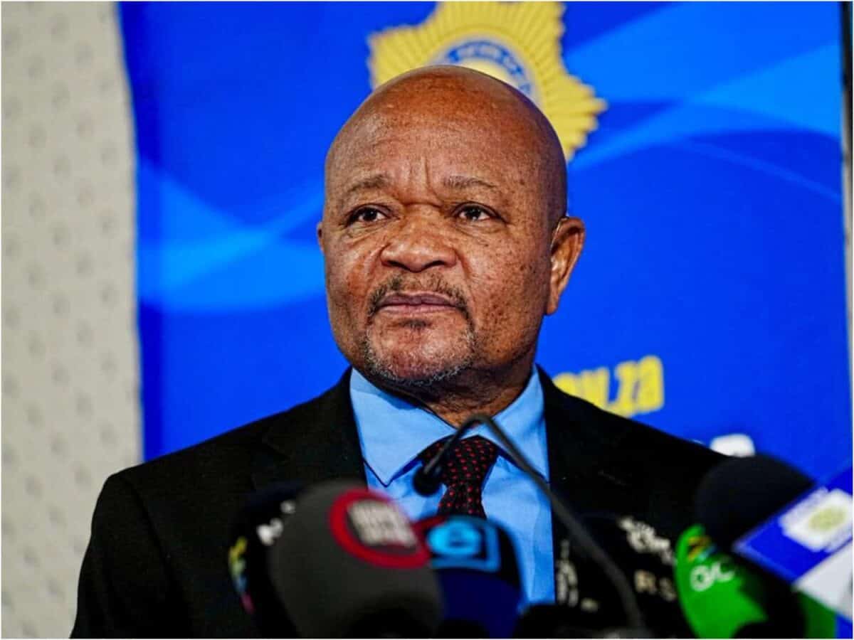 Senzo Mchunu investigation will take longer to finalise, says Public ...