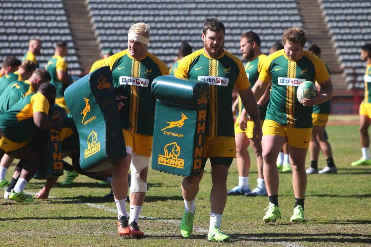 Springbok coaches zero in on players after trimming squad for Rugby ...