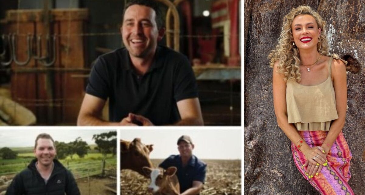 'Boer Soek 'n Vrou': New crop of farmers and Reandi Grey behind the wheel - What to know | The ...