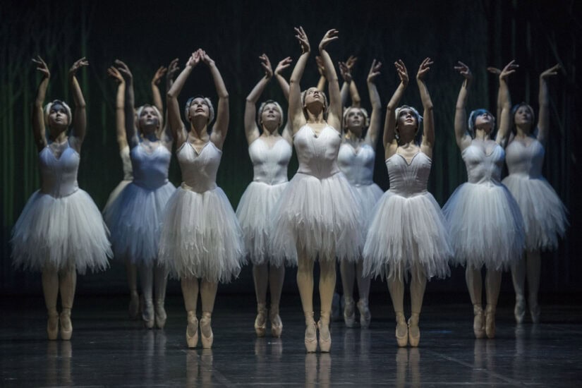 PICTURES: Swan Lake ballet takes to Joburg stage | The Citizen