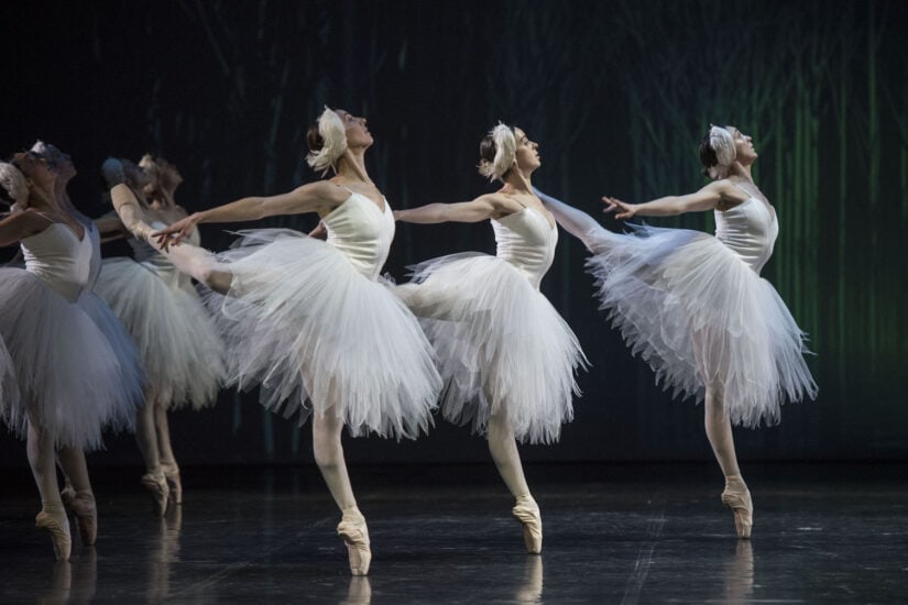 PICTURES: Swan Lake ballet takes to Joburg stage | The Citizen
