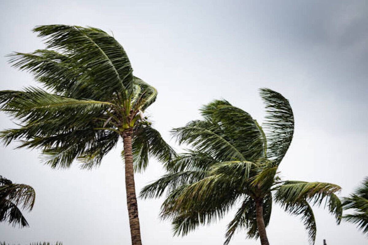 Cape Town braces for cold, windy weekend with warnings in place