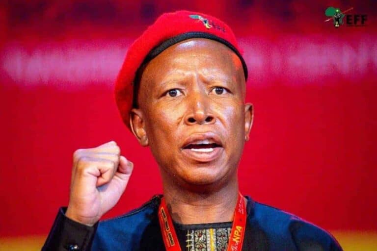 Malema proposes solution to one-way migration of Nigerians to South ...