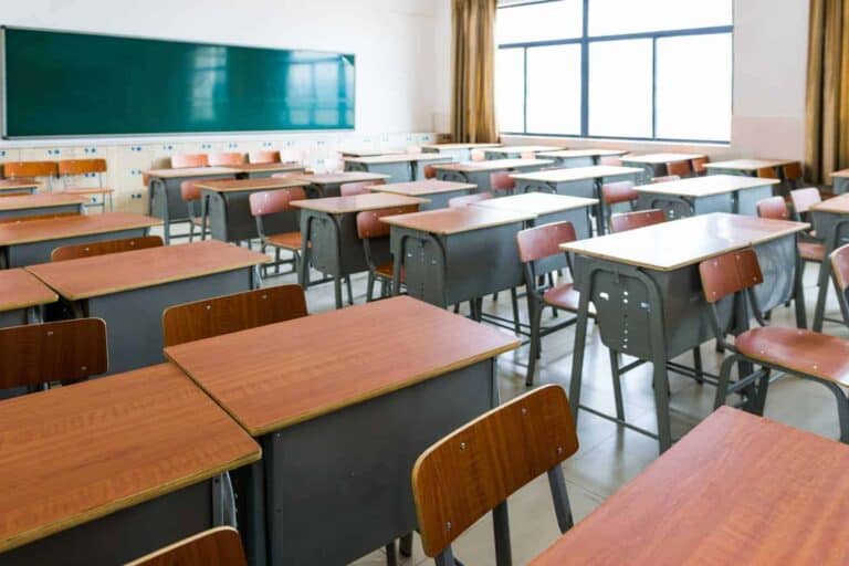 Private sector sees massive profits while over 70% of children attend ...