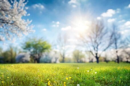 Is this the end of winter weather? What will spring bring? - SA Weather ...