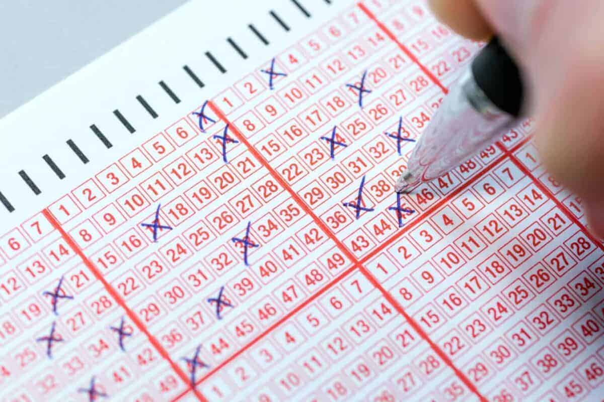 Lotto And Lotto Plus Results Wednesday 17 September 2025 The Citizen