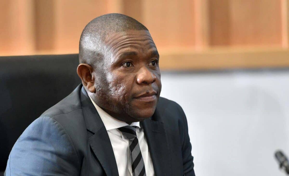 Dodgy calls and shielding officials? - Mkhwanazi's shocking claim ...