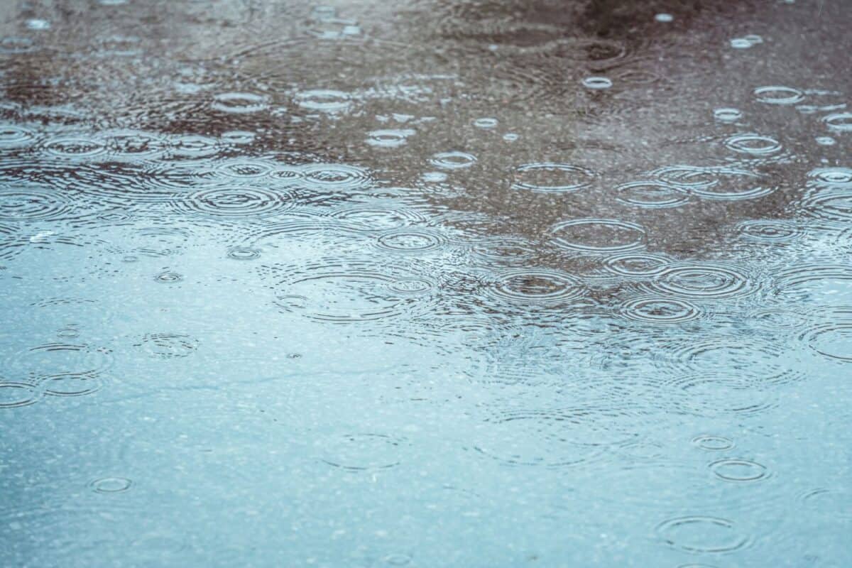 Warm or wet? - What weather to expect on Monday
