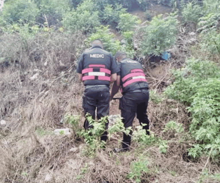 Newborn baby's body found discarded, legs allegedly consumed by dogs ...