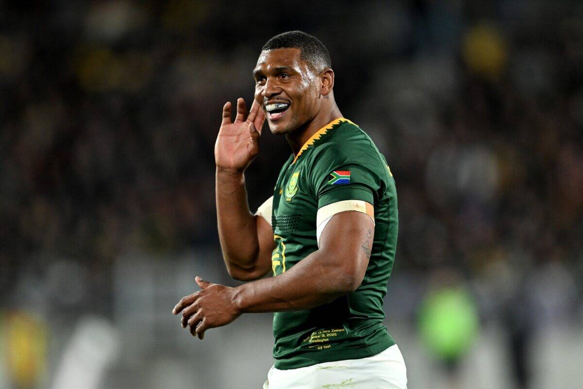 Springbok player ratings from 43-10 win against All Blacks in ...