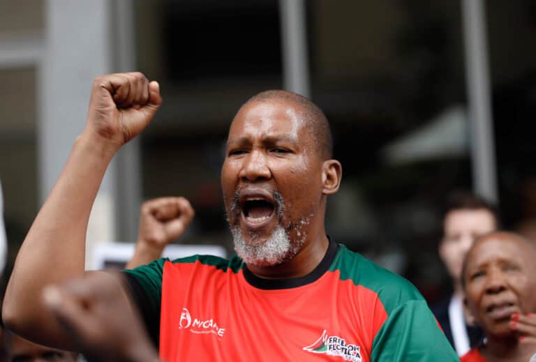 In case you missed it: Mandla Mandela's 'abduction' | Mbalula on ANC ...