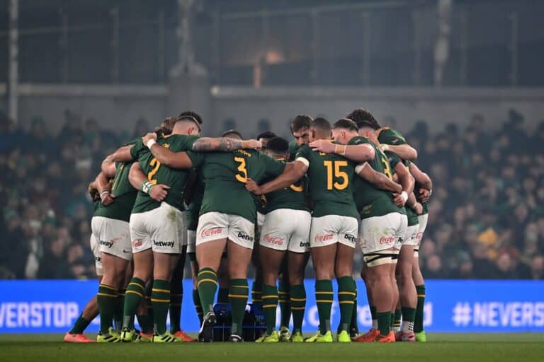 Springbok player ratings from 24-13 win against Ireland in Dublin | The ...