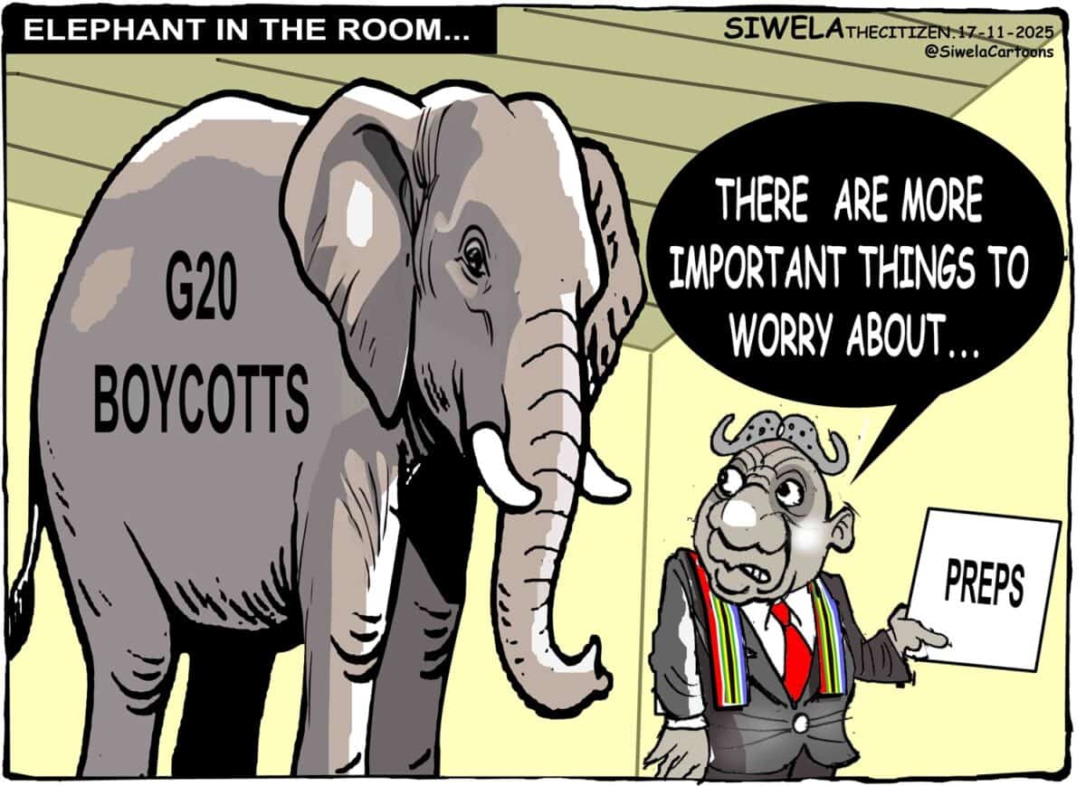 Cartoon of the day: 17 November 2025 | The Citizen