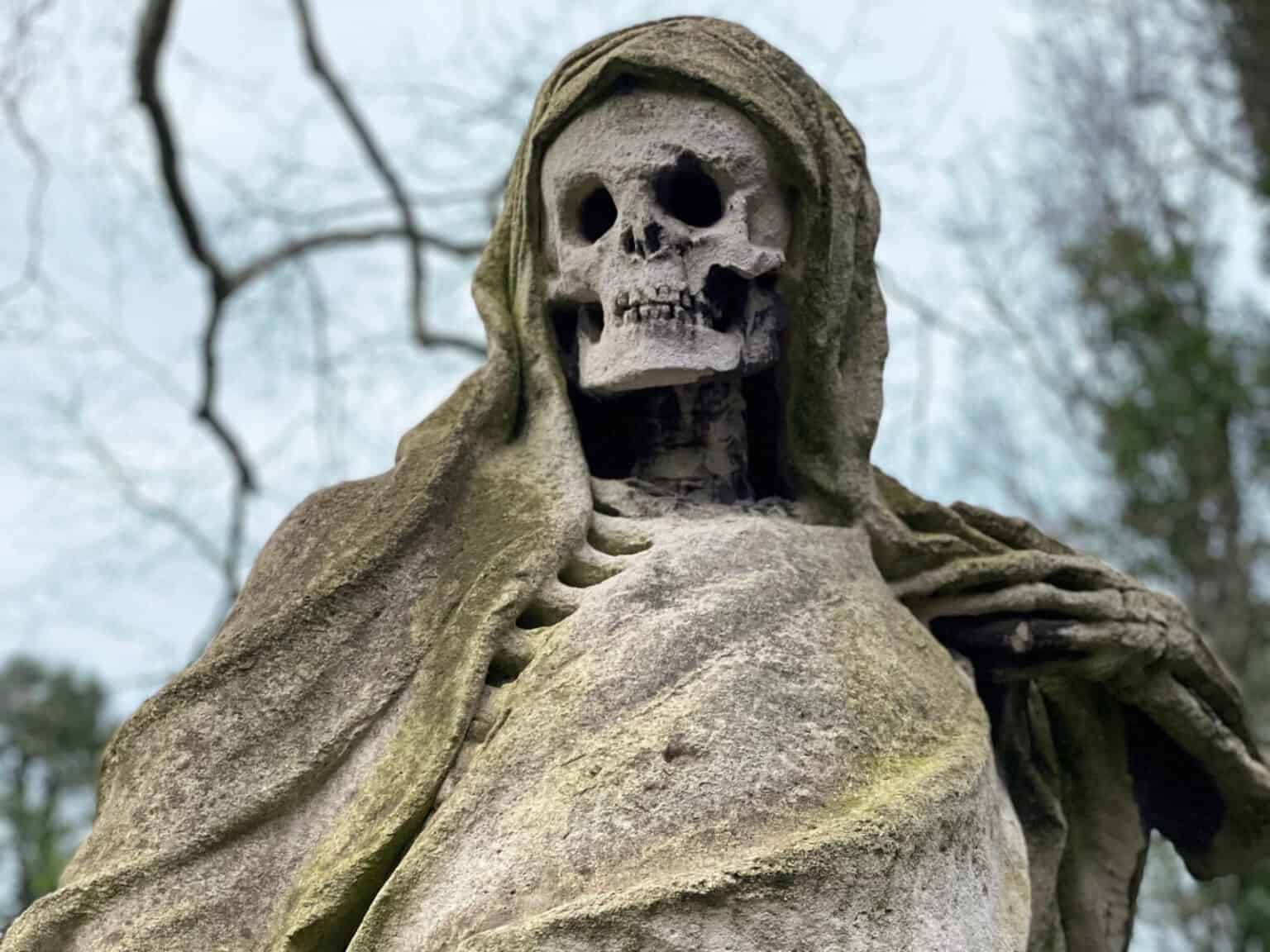 Death, where art thy sting? | The Citizen