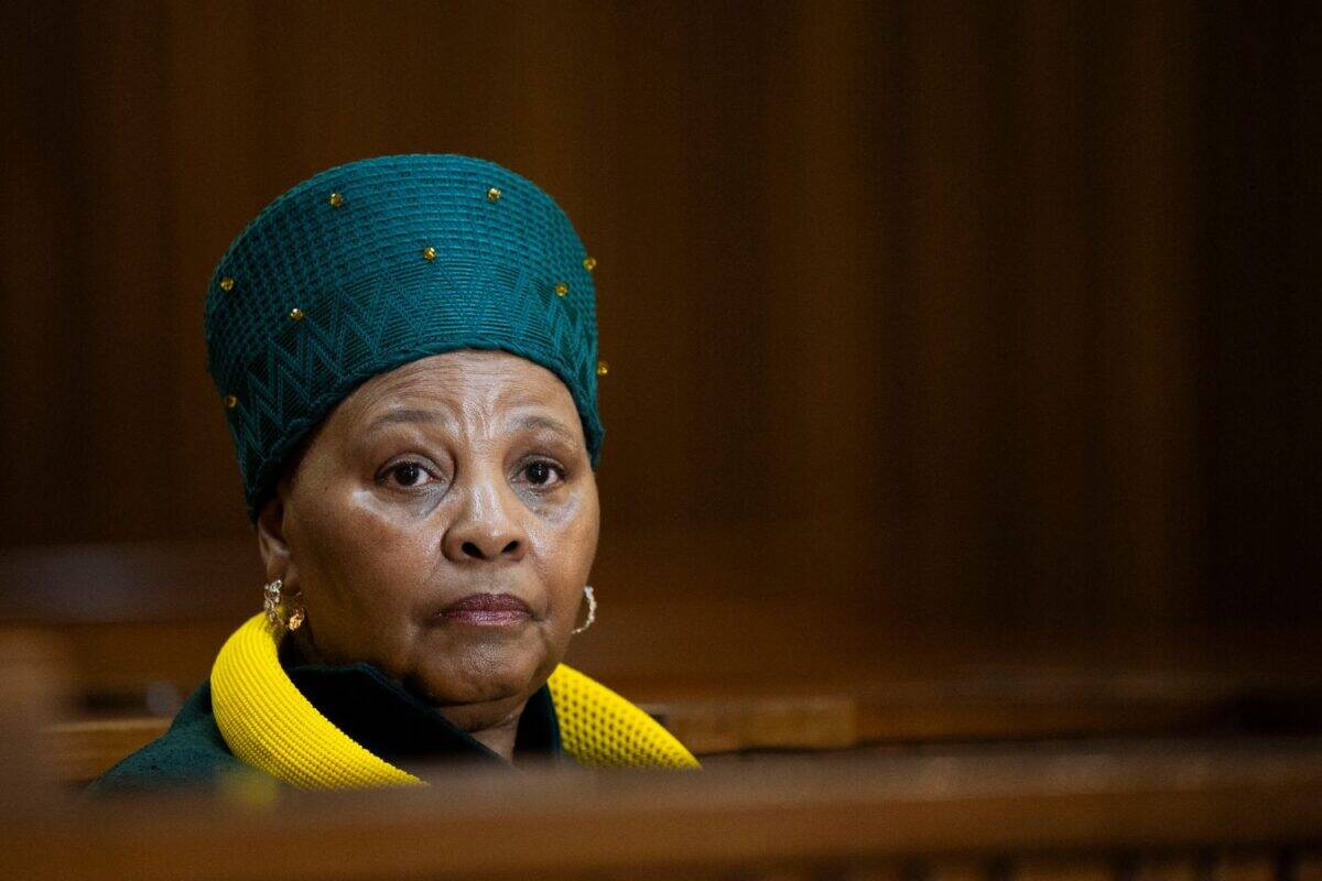 'The real thugs are now coming out': Mapisa-Nqakula denies being SA's ...
