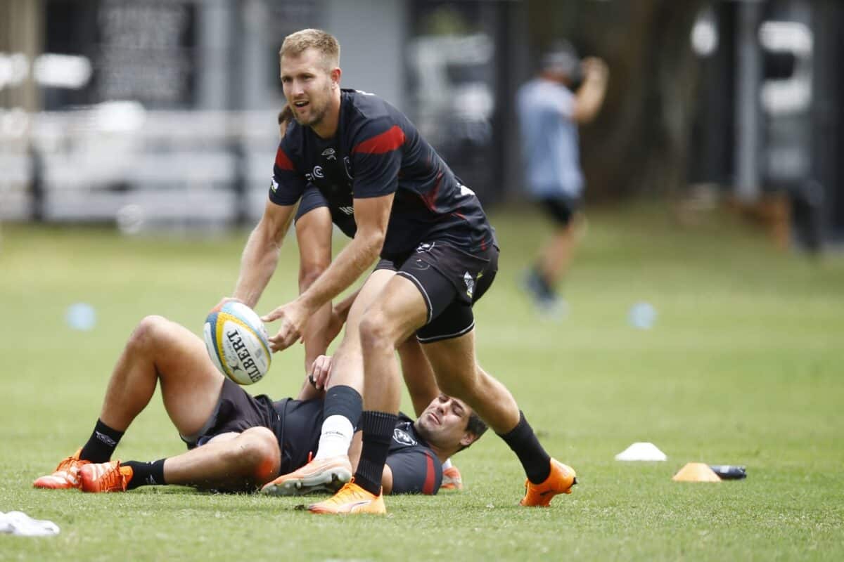 Griquas Currie Cup star Whitehead to wear Sharks No 10 jersey against ...