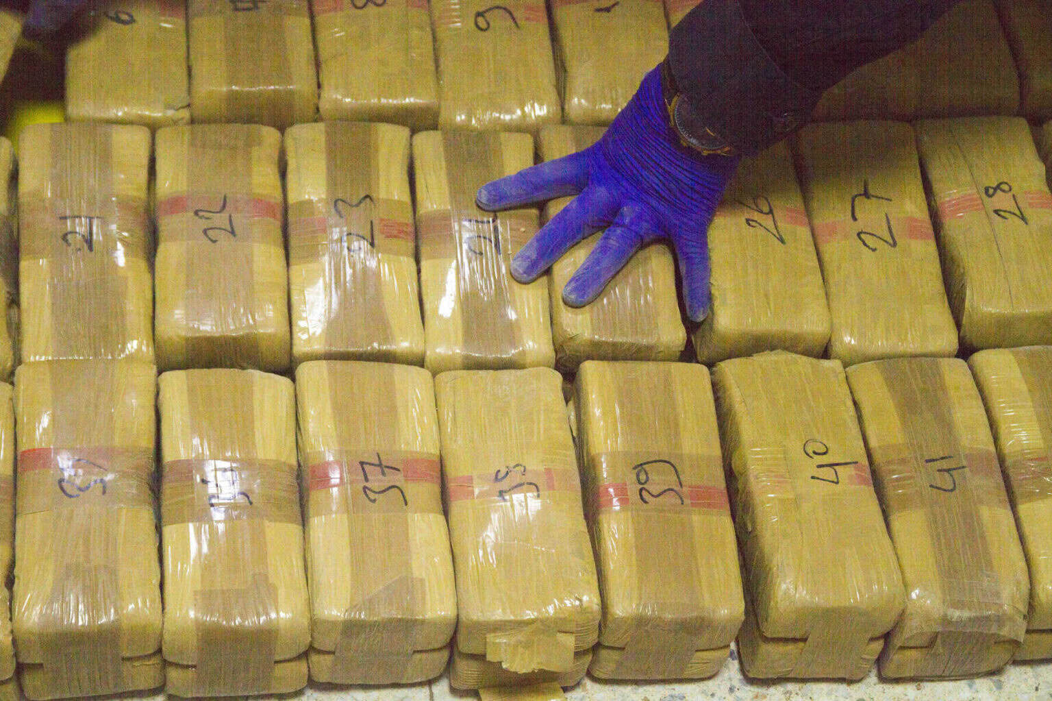 Major drug busts of 2025: is it increased criminality or better ...