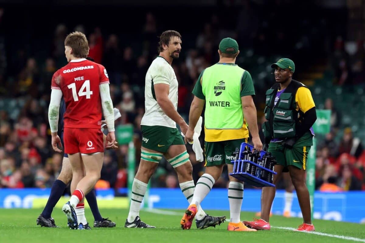 Springbok lock Etzebeth opens up on eye-gouge: 'I deserve a ban' | The ...