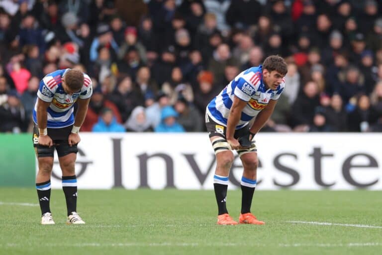 ‘Desperately disappointing,’ says Dobbo after Stormers' winning run ends