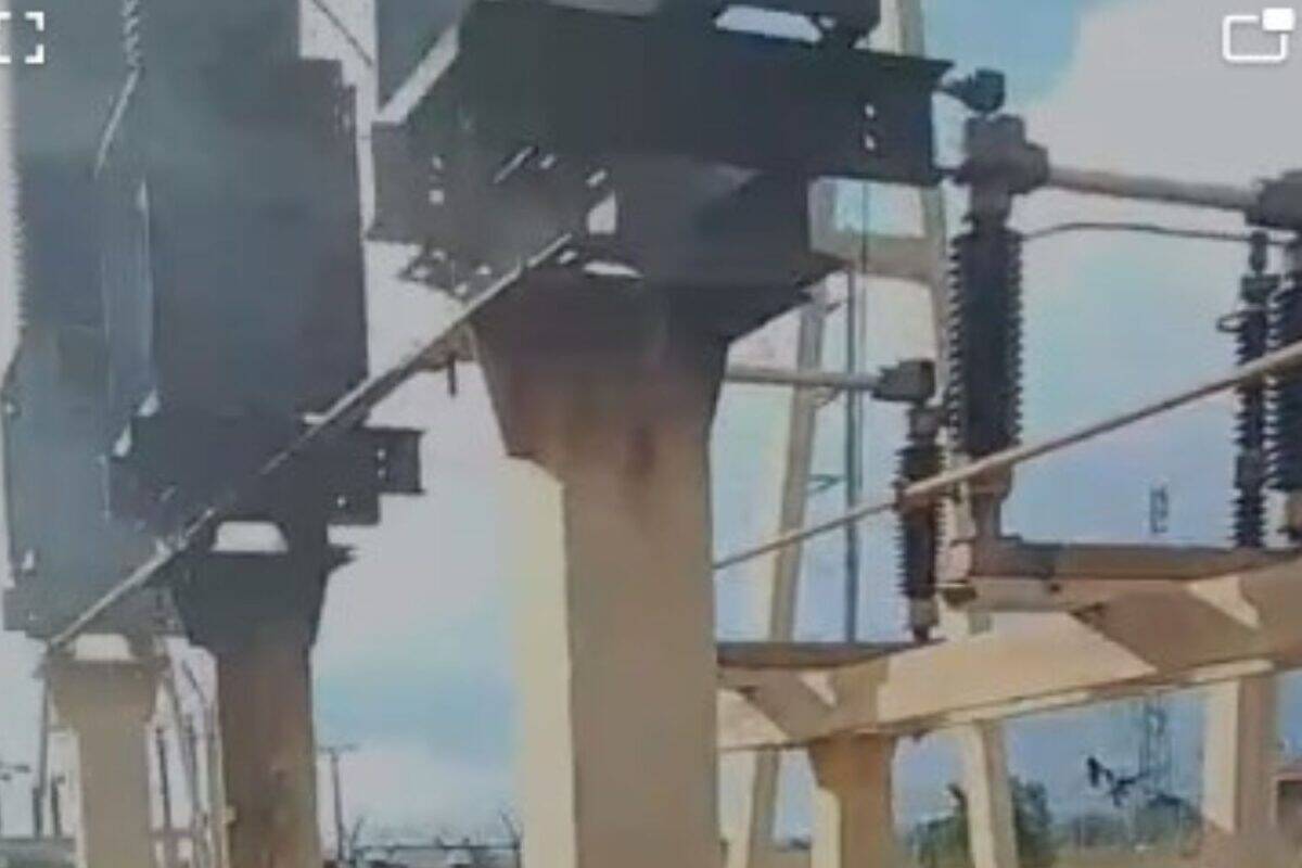 Swarm of bees in three electricity pylons hamper Eskom in restoring ...