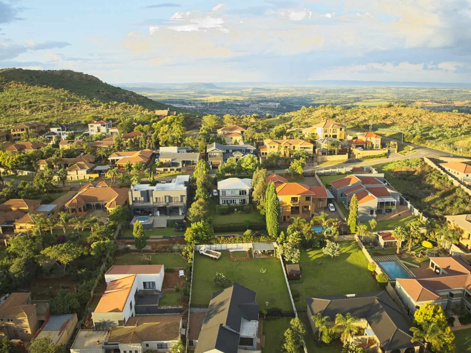 Life inside a neighbourhood ecosystem | The Citizen