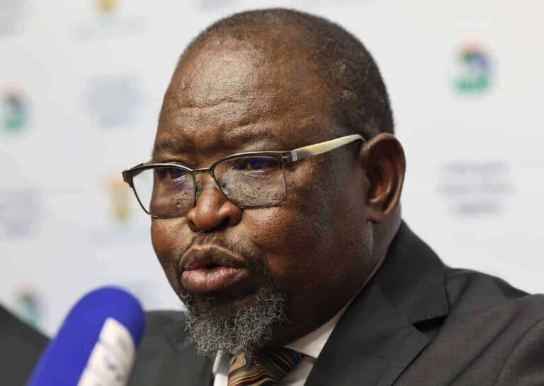 EFF and DA elated by High Court VAT judgment | The Citizen