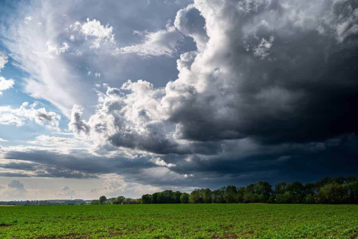 Weather alert: Here's what to expect across South Africa on Sunday