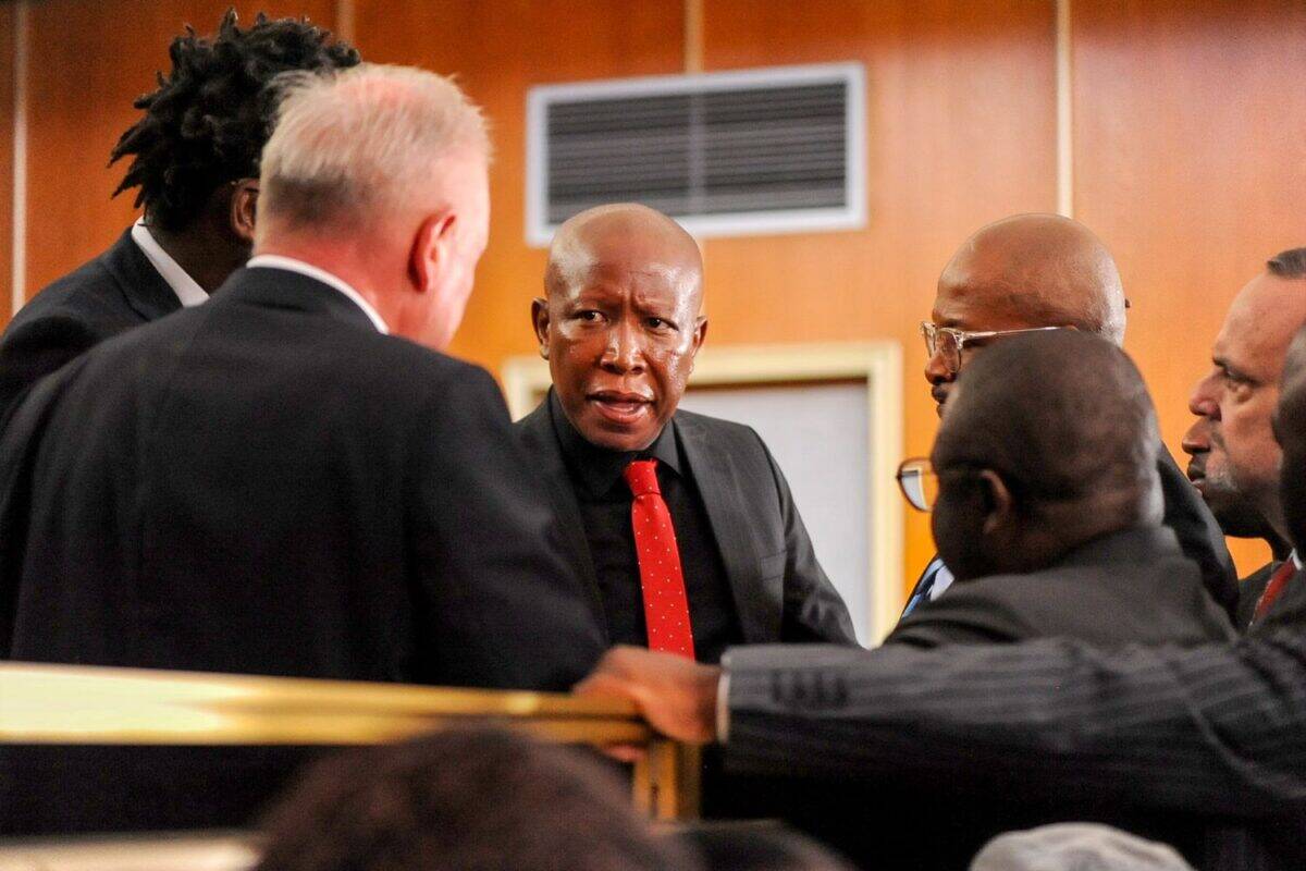 'I've seen her ugly white face for too long': Malema celebrates despite ...