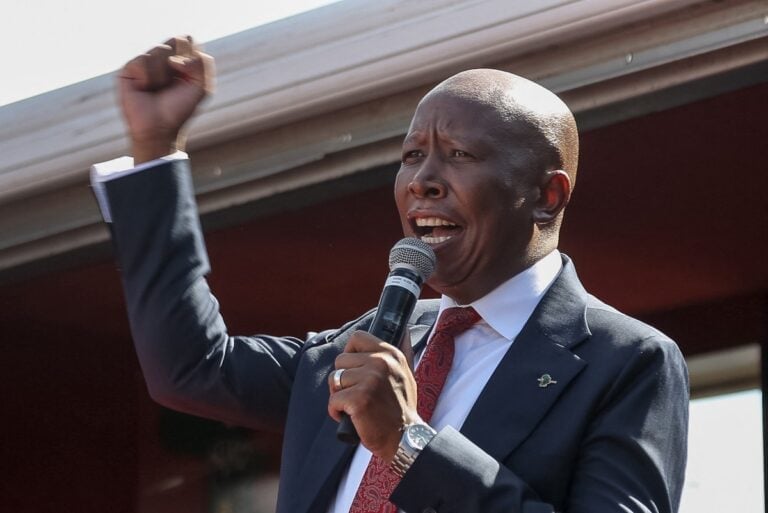 Malema sentence tests EFF future beyond its charismatic founder | The ...