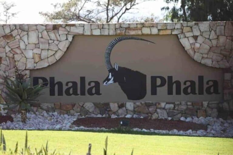 ConCourt judgment on Phala Phala parliament process due this Friday ...