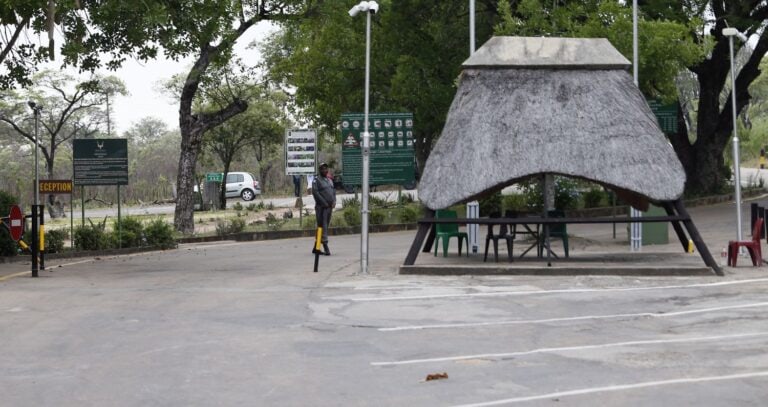 Kruger Park Murder Suspects Arrested in Mozambique | The Citizen