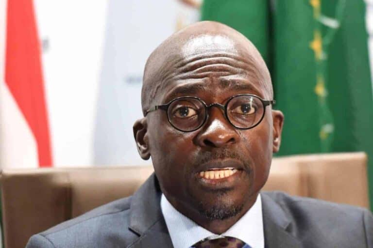 Malusi Gigaba's legal team reviews evidence as court postpones case ...