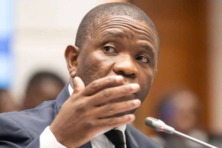 Mkhwanazi warns gangs use spaza shops, flags deliberate fumbling of ...